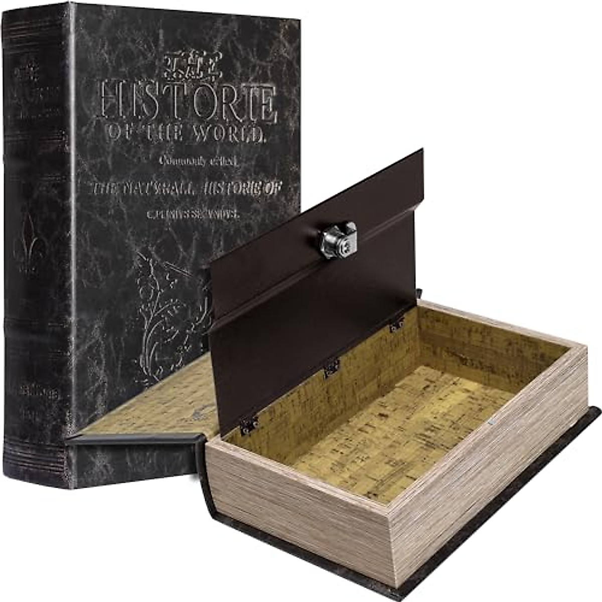 Barska Antique Book Lock Box with Key Lock, black