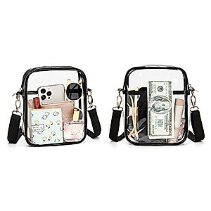 TEABAN Clear Delicate Crossbody Purse Bag, Stadium Approved Transparent Bag for Festivals, Sports Events, Small Concerts Bag for Women Men with Inner Pocket and Adjustable Shoulder Strap