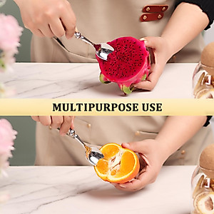 CherHome Grapefruit Spoons，4pcs Serrated Grapefruit Spoon Scoop，Premium Stainless Steel 18/8 Fruit Spoon Kiwi Spoon with Comfortable Bakelite Handle,For Any Citrus&Grapefruits，Wood Grain Handle