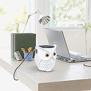 LDYAN Owl Holder Stand, Owl Statue Smart Speaker Holder Stand for Echo Dot 4th/3rd/2nd and 1st Generation, Google Home Mini/Google Nest Mini (2nd Gen)，Cartoon Decor Owl Shape Home Decor - White