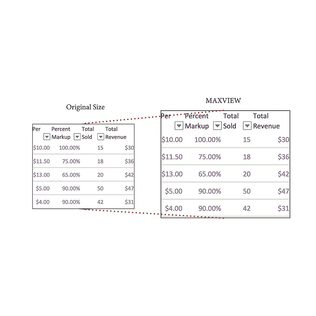 Kantek MAXVIEW LCD Monitor Magnifier for 15-Inch Monitors (Measured Diagonally) (MAG15L)