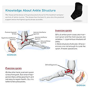 GOTOTOP Ankle Brace,Adjustable Breathable Foot Support,Daytime Splint with Heel Strap That Fits in Shoe,Foot Arch Pain Relief and Sprains,Black