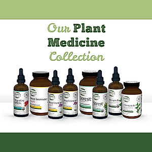 St. Francis Herb Farm - Digestive Bitters 100ml - Herbal Supplements - Organic, Non GMO, Vegan, Gluten Free, Dairy Free