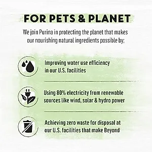 Purina Beyond Natural Wholesome Ingredients for Whole Health Dry Cat Food Salmon and Whole Brown Rice Recipe - 6 lb. Bag