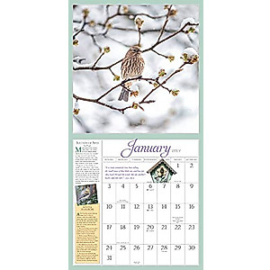 Audubon Birds in the Garden Wall Calendar 2021