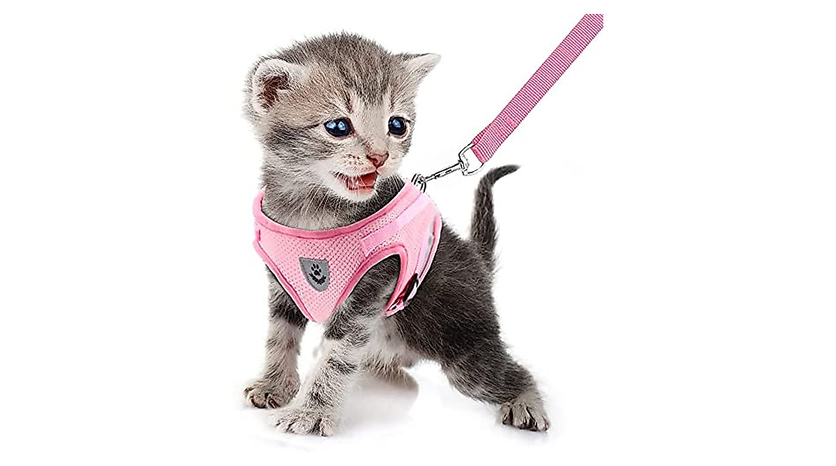 FEimaX No Pull Dog Harness & Leash Set for Small Dogs & Cats