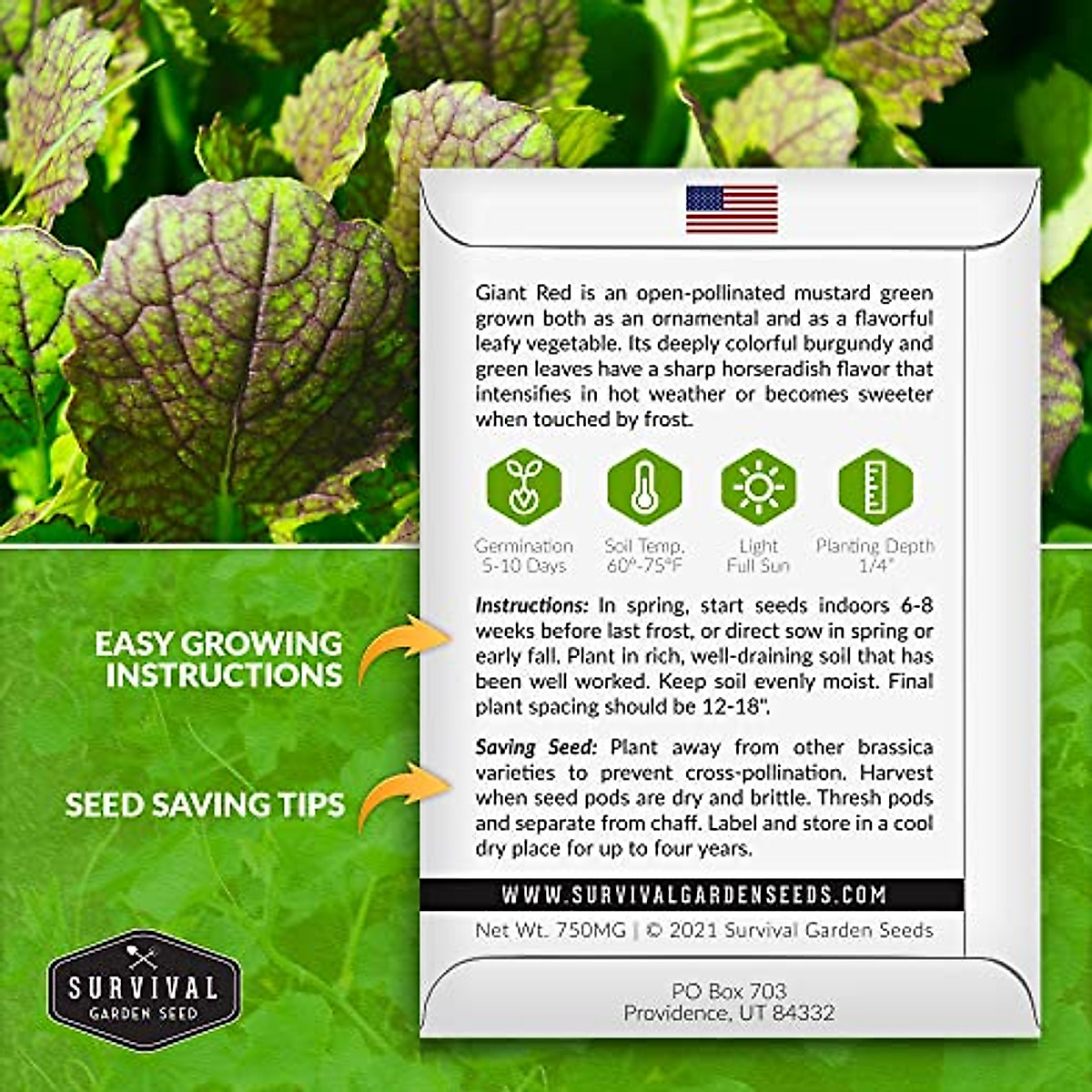 Survival Garden Seeds - Giant Red Mustard Greens Seed for Planting - Packet with Instructions to Plant and Grow Spicy Brassica Juncea Leaves in Your Home Vegetable Garden - Non-GMO Heirloom Variety