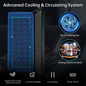 KingChii 80 Bottle Wine Cooler Refrigerator - Intelligent Digital Control Wine Fridge, Low Noise Operation, Freestanding Wine Refrigerator for Kitchen and Home