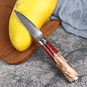 JUMCSONG 3.5 Inch Fruit Knife, 67 Layer Damascus Steel Blade Peeling Knife, Super Sharp Kitchen Knife