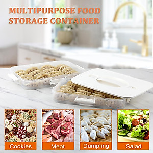 BTSKY Plastic Food Storage Container with lids, Dumpling Storage Box, Cookie Carrier Cookie Sheet with Lid, Portable Large Food Container for Snack, Fruit, Vegetables, Meat, Wontons(2-Layer, White)