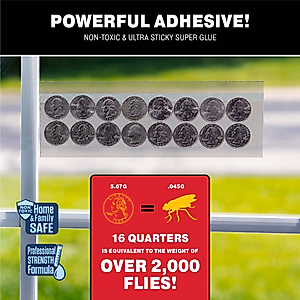 Catchmaster Fly Trap Bundle, Window Fly Traps 12-Pack & Fly Ribbon 20-Pack, Bug & Fly Traps for Indoors and Outdoors, for Garage, Backyard, Pool, & Patio