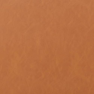 Lifestyle Solutions Lexington Sofa, Faux Leather, Caramel