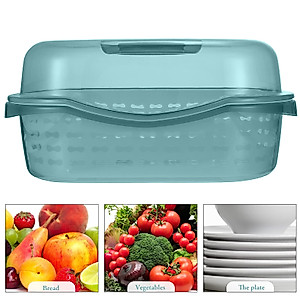 Cabilock Dish Rack Tray Dish Drying Rack and Drain Board with Lid Cover Nursing Bottle Holder Kitchen Plate Cup Dish Drying Rack Tray Cutlery Dish Drainer Blue Dish Storage