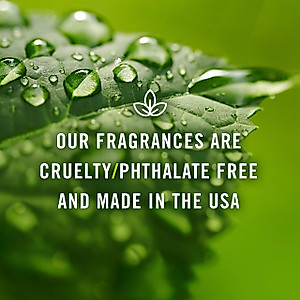 P&J Trading Fragrance Oil | Ladies Set of 6 - Scented Oil for Soap Making, Diffusers, Candle Making, Lotions, Haircare, Slime, and Home Fragrance