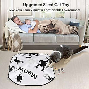 ORSDA Cat Toys Rechargeable, 4in 1 Interactive Automatic Indoor Cats Toy with 8 Holes Mice Whack-A-Mole, Hide and Seek Smart Motion Kitten Toys with 5Pcs DIY Replacement Refills