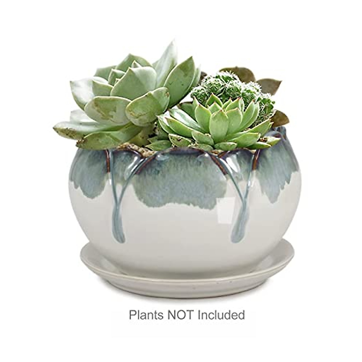 Dahlia 5.5'' Inch Rustic Drip Glazed Ceramic Planter/Succulent Pot/Plant Pot w. Saucer/Tray