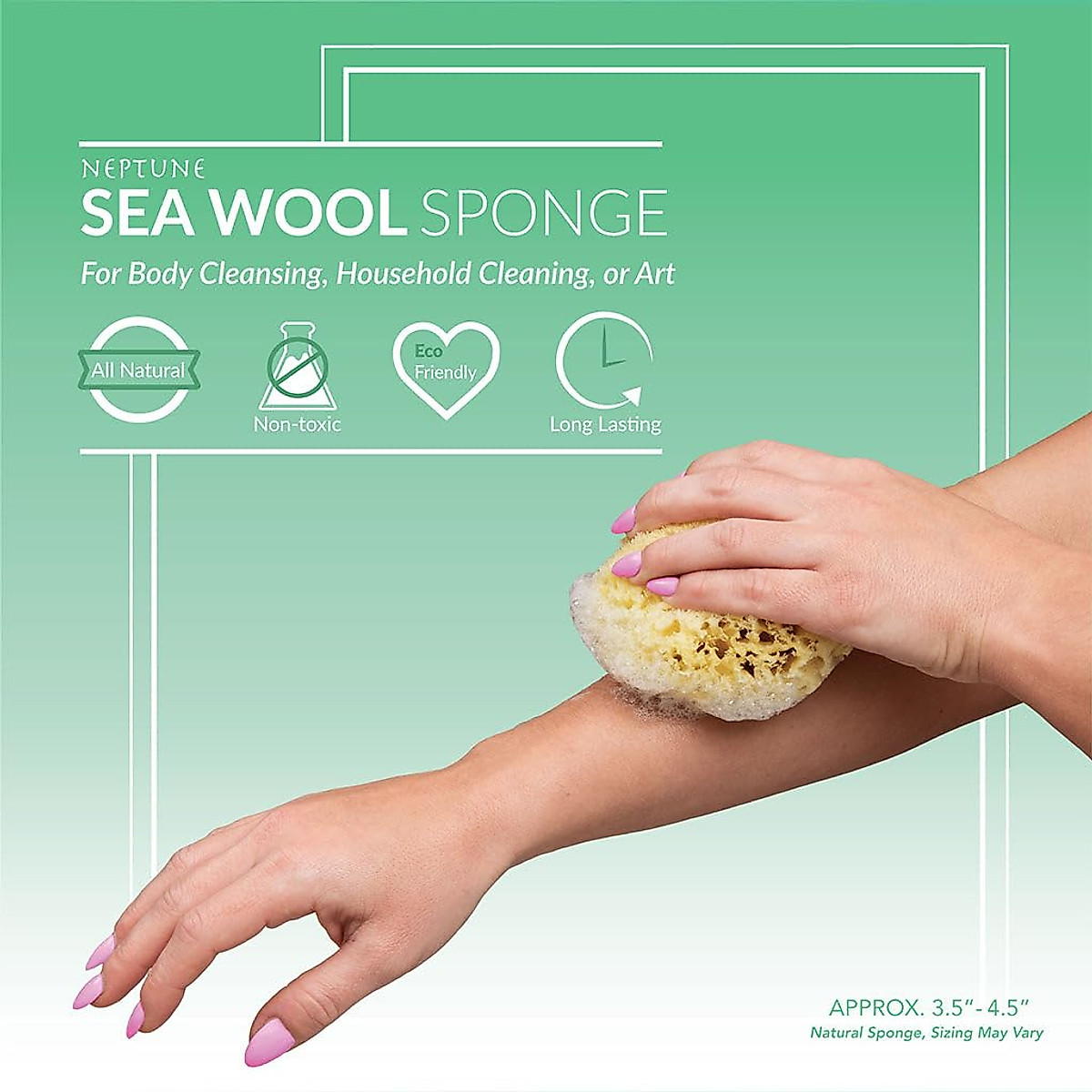Neptune Natural Sea Wool Sponge - All Natural Honeycomb Renewable Sea Sponge, Medium, Approx. 4 Inches