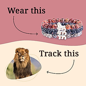 Fahlo Lion Tracking Bracelet, Elastic, supports EWASO Lions, one size fits most for Men and Women (Sky Stone)