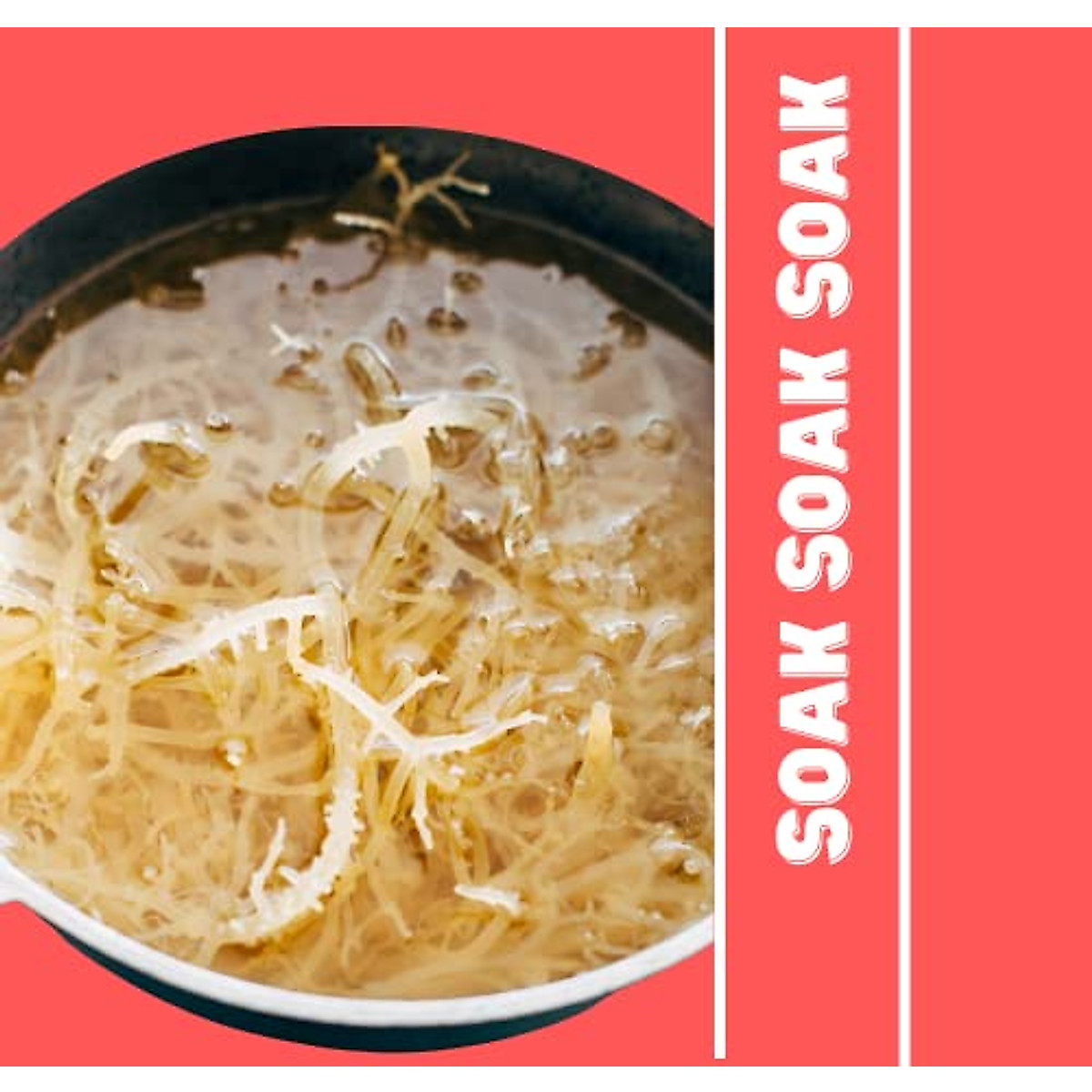 EDA Organics Raw St Lucia Sea Moss Bulk Bag - Raised by Hand on Clean Caribbean Coastlines - Harvested by local St Lucian Farmers - Makes over 180oz+ of Seamoss Gel (13 Jars!) - An authentic Dr Sebi Superfood (8oz BULK Bag)