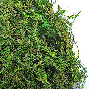 TOPCOMWW Fake Moss for Centerpieces Decor, Aftificial Green Moss for Plant Crafts Flower, 3.5oz