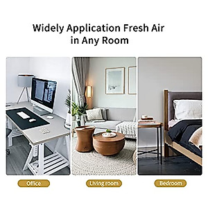 ap airpleasure Purifier Air Washer, Air Fresher Aroma Diffuser for Home, Office, Air Purifier with Night Light (Black)