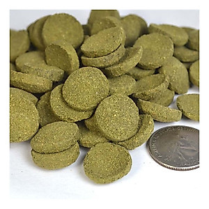 Spirulina Veggie Algae Wafers Pleco Catfish Tropical Bulk Fish Food ONE LB - Bottom Feeders