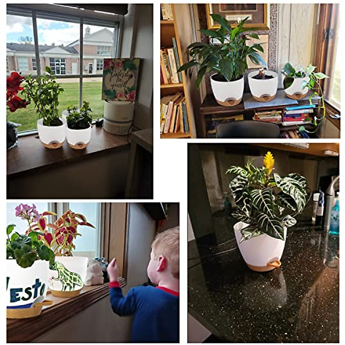 Self Watering Planters with Drainage Holes Reservoir,Nursery Planting Pot for Indoor Decor Garden Plants Succulents,Snake Plant, African Violet,Plastic Flower Pots Set 7+6.5+6+5.5+5 Inch (White)