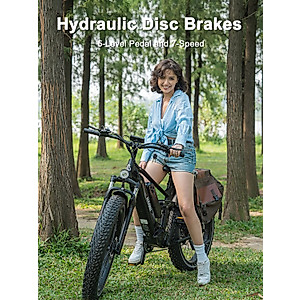 HAOQI Cheetah Electric Bike for Adults Peak 1000W UL 2849 Certified 48V 16AH/25Ah Battery Adult Electric Bicycles 26”*4”Fat Tire Full Suspension 28MPH Mountain Ebike 7 Speed Max 85 Miles Range