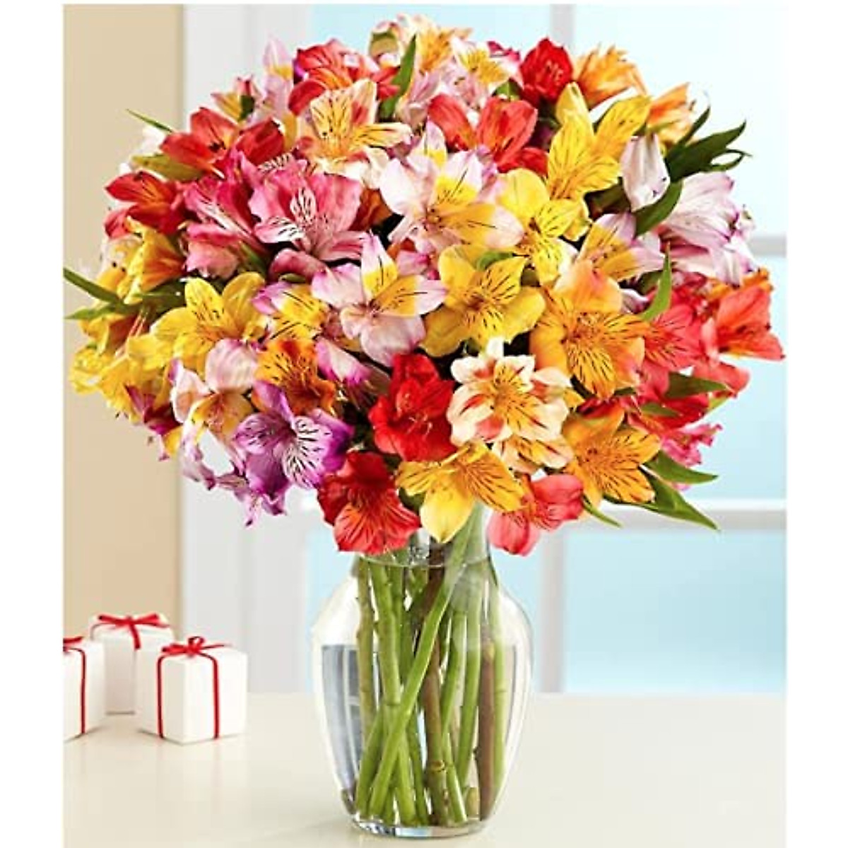 BloomsyBox: 24 Multicolored Alstroemeria Bouquet Flowers, Two Dozen, Long Lasting & Hand-Tied, Farm Fresh Cut Flowers Bouquet, birthday flowers,anniversary Flowers | No Vase