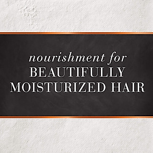 Hair Food Food Manuka Honey and Apricot Moisture Conditioner, 10.1 Ounce