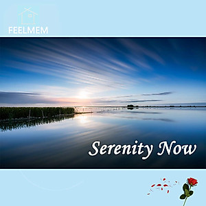 FEELMEM Relaxing Handstamped Key Chain Serenity Now Keyring Gift for Best Friend Family Jewelry (Silver)