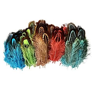 100 pcsHappy Feather Natural Pheasant Plumage Feathers 2-3 Inches Plumage Feathers for Sewing Crafts Clothing Decorating Accessories -Multi Color