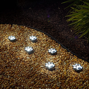 Smart Solar Paw Print Garden Accent Light with Cool White LEDs 3341WMM6