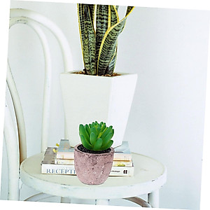 WOONEKY 1 Set 3 Pcs Succulent Bonsai Faux Succulents Potted Plastic Succulents Plants Various Faux Succulents Home Decor Artificial Plant Fake Succulent Mini False Cactus Pulp Basin Office
