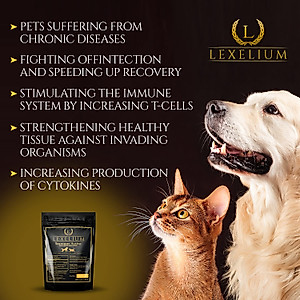 Lexelium Immune Support for Cats and Dogs - Natural Immunity Supplement Powder Helps Detoxify and Protect Your Pets from Digestive, Respiratory and Skin Issues - Helps with Chronic Infections - 200g