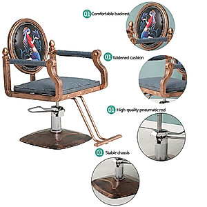 DFONCE Barber Chair Salon Hairdressing Barber Chair,Hydraulic Barber Chair Salon Hair Beauty Chair Styling Equipment,C (Color : B)