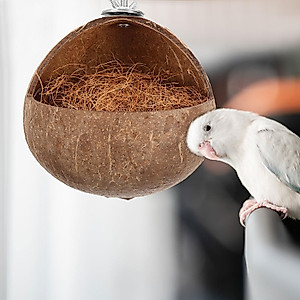 POPETPOP Coconuts Shell Birds Nest Natural Parrot Cage Nest Winter Warm House Hut Hanging Toy for Pet Parakeet Cockatiels Finch Hamster Rat