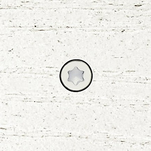 Headcote 8 x 2-1/2" - 39 White - Stainless Steel Trim Head Deck Screws - 350 pc. Deck Pack for 100 Sq. Ft. of Decking - STX39T08250