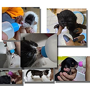 Pet Bottle Kit, Squeeze Liquid Bottle Replaceable Silicone Teat Mini Teat for Newborn Kittens, Puppies, Rabbits, Small Animals Replacement Teat Cat Feeding Bottle Feeding Tool