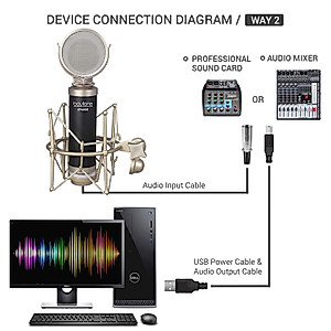 Boytone, Professional Studio Recording Podcast Condenser, Metal Shock Mount, Anti-Wind Cap (BT-68SM)