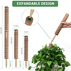 Moss Pole for Plants Monstera, 115 inch Moss Poles for Climbing Plants, 4 Pcs 20.5" and 2 Pcs 16.5" Coco Coir Pole for Indoor Potted Plants Grow Upwards, Moss Stick Totem Pole Plant Support