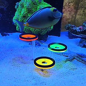 AREPK Coral Frag Rack Fluorescent Coral Frag Plug Sand Holder Marine Reef Aquarium Spare Parts Cultivating Live Cora (3 Plug)