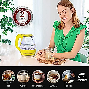 OVENTE Glass Electric Kettle Hot Water Boiler 1.5 Liter Borosilicate Glass Fast Boiling Countertop Heater - BPA Free Auto Shut Off Instant Water Heater Kettle for Coffee & Tea Maker - Green KG83G