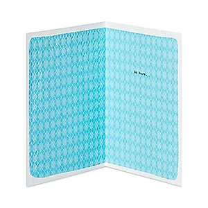 American Greetings Funny Birthday Card (Cat Wearing Argyle Sweater)