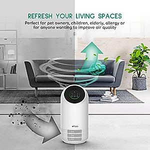Afloia Air Purifier for Home Large Room H13 True HEPA Filter Air Cleaner with 24db Sleep Mode Remove 99.99% of Dust, Pet Dander, Pollen for Office, Bedroom, Fillo White