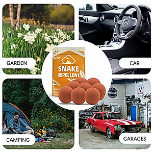 Pufado Snake Repellent for Yard Powerful, Keep Away Outdoors, Outdoors Pet Safe, Outdoor Repellant Home, Out Effectively- 10 Pack 45TRR