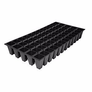 Thuja Arborvitae Green Giant Qty 40 Live Trees Evergreen Privacy