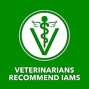 IAMS Proactive Health Adult Wet Dog Food Chunks in Gravy, Beef Recipe, 13 oz. Cans, Pack of 12