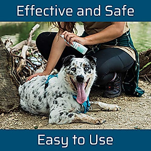 Wondercide - Flea, Tick and Mosquito Spray for Dogs, Cats, and Home - Flea and Tick Killer, Control, Prevention, Treatment - with Natural Essential Oils – 4 oz Lemongrass & Cedarwood 2-Pack