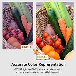 GIOVAR 4Pack LED Celing Fan Light Bulbs 60 Watt, Daylight 5000K, E12 Candelabra Bulb Base Socket, 120V, Type B, Non-Dimmable